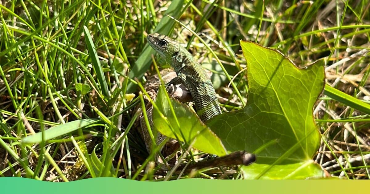 Year two – Dodeca Studio