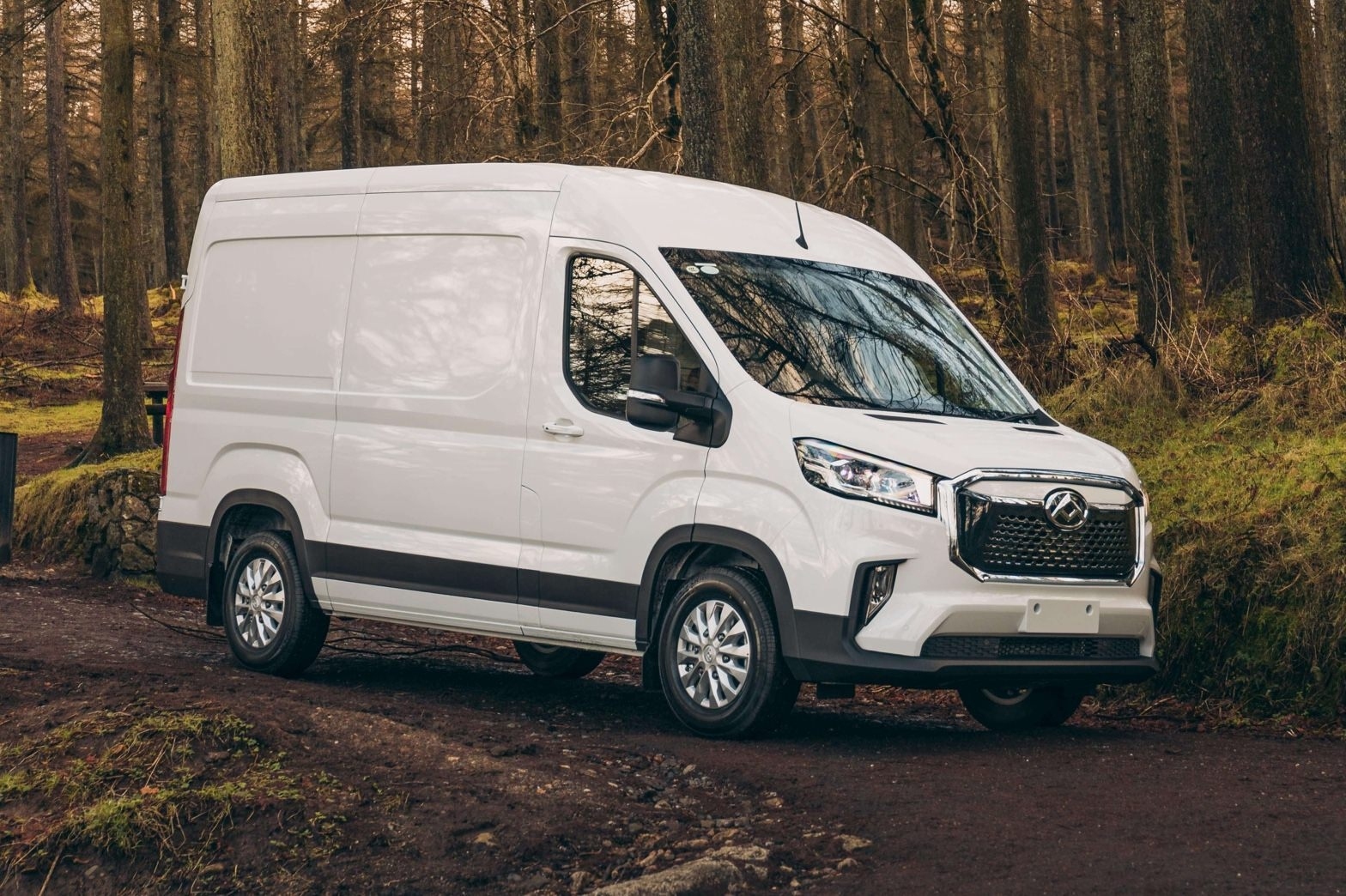What advantages do electric vans offer? - Electric Brighton