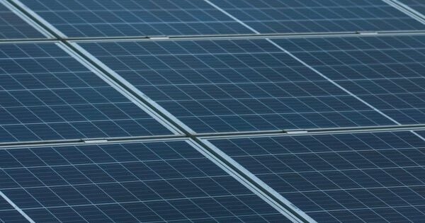 Electric Brighton Newsletter - Autumn 2021 - Electric Brighton