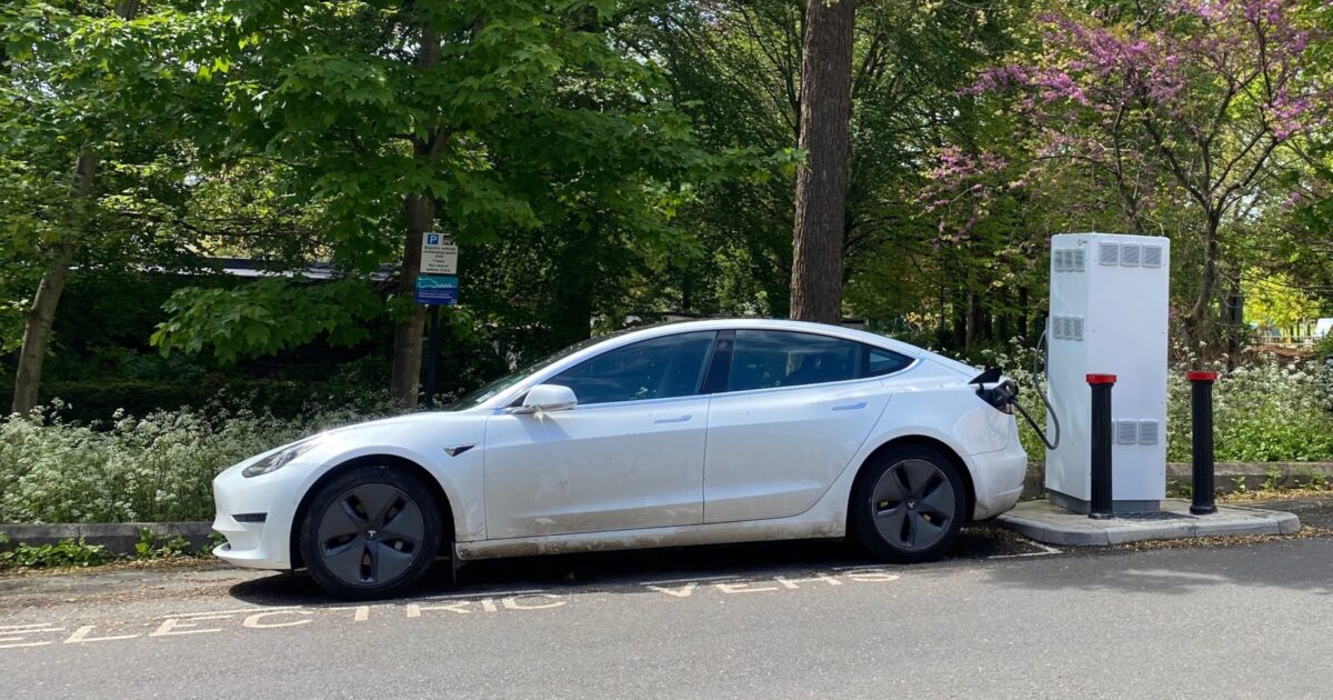 Electric Brighton Newsletter - Spring 2021 - Electric Brighton